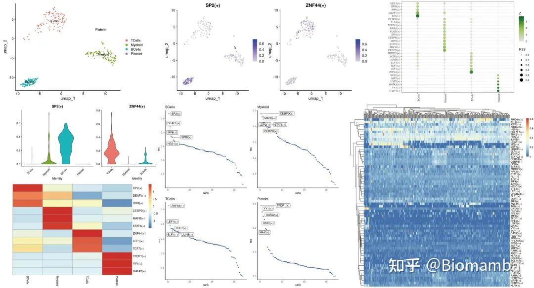 比R版本快几十倍| Pyscenic单细胞转录因子预测 - 知乎