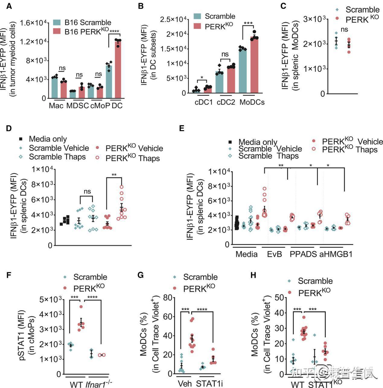 cancer cell|内质网应激的癌细胞如何调节抗肿瘤免疫？ - 知乎