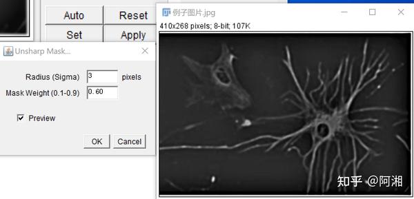 ImageJ分析细胞形态 - 知乎