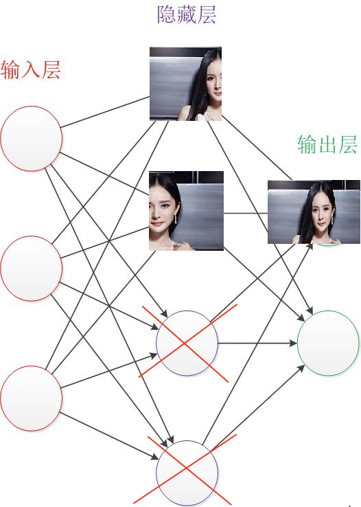 CNN 入门讲解：什么是dropout? - 知乎