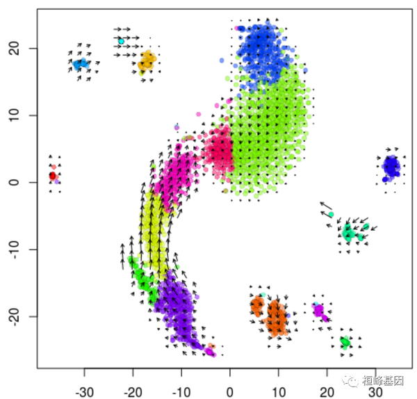 SCS【22】单细胞转录组之 RNA 速度估计 (Velocyto.R) - 知乎