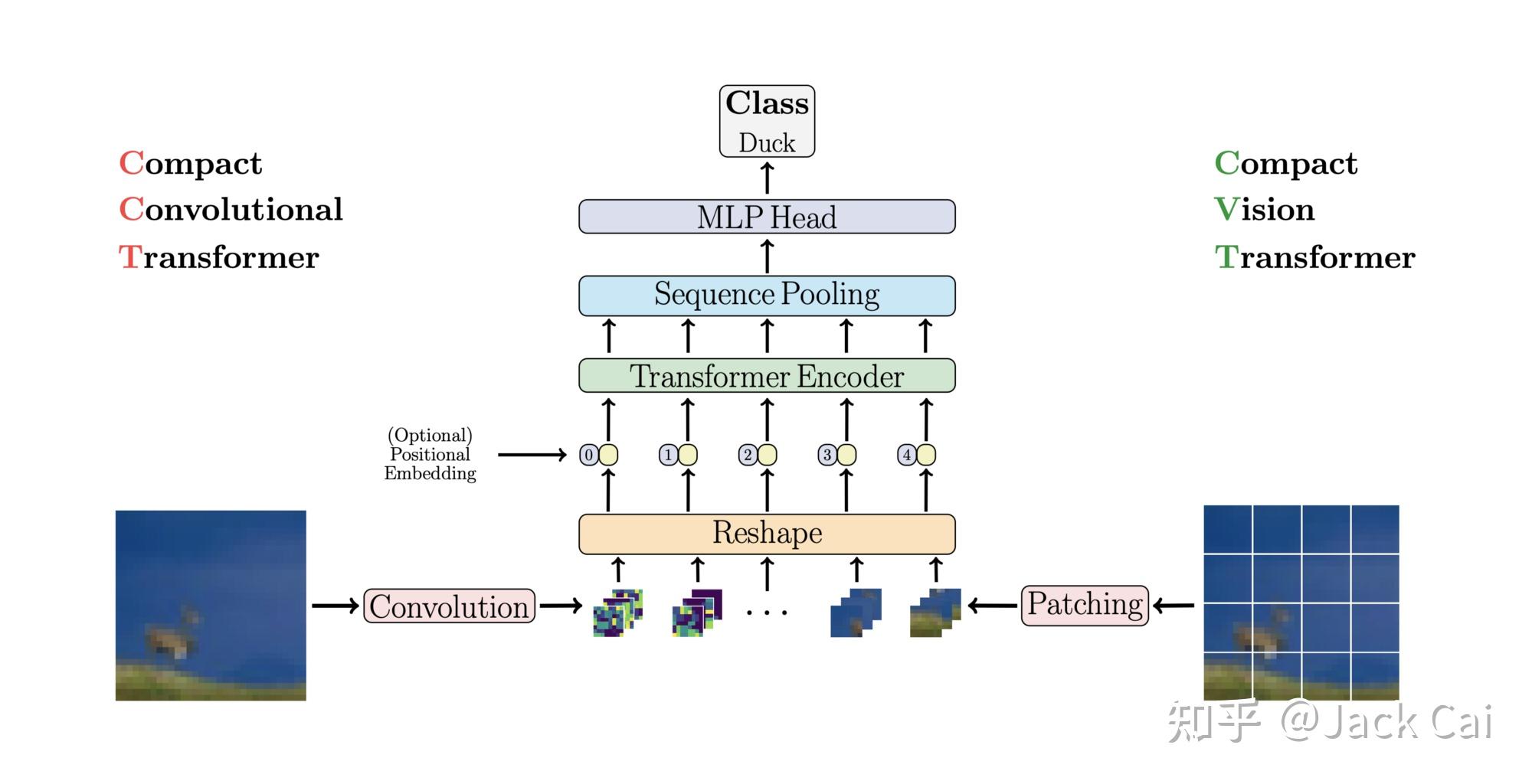 Compact Transformer网络详解 - 知乎
