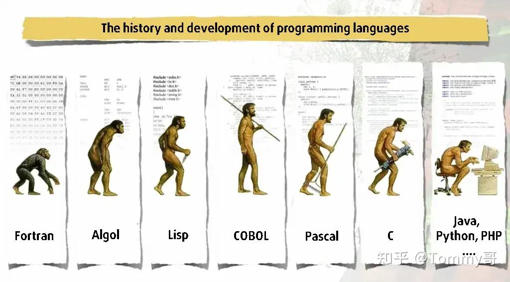 揭秘：10种鲜为人知的编程语言，你绝对想不到！ - 知乎