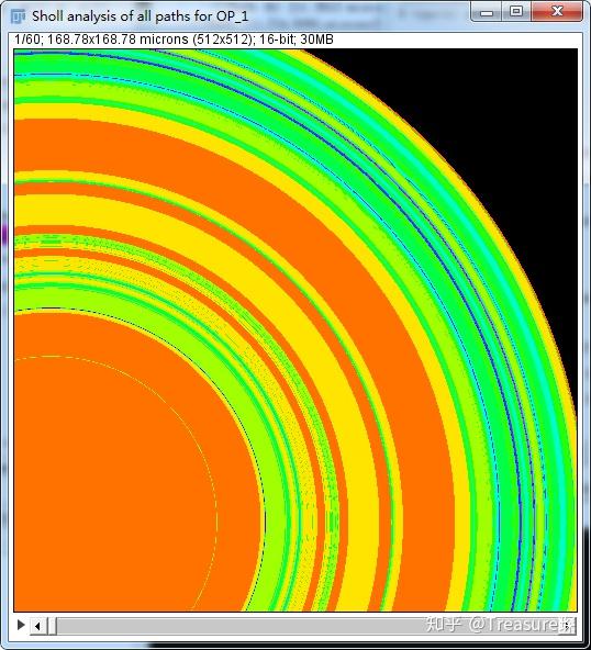 ImageJ实用技巧——Sholl Analysis（一）(插件篇) - 知乎