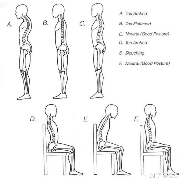 做到这三点，良好的体态自然就来了 - 知乎