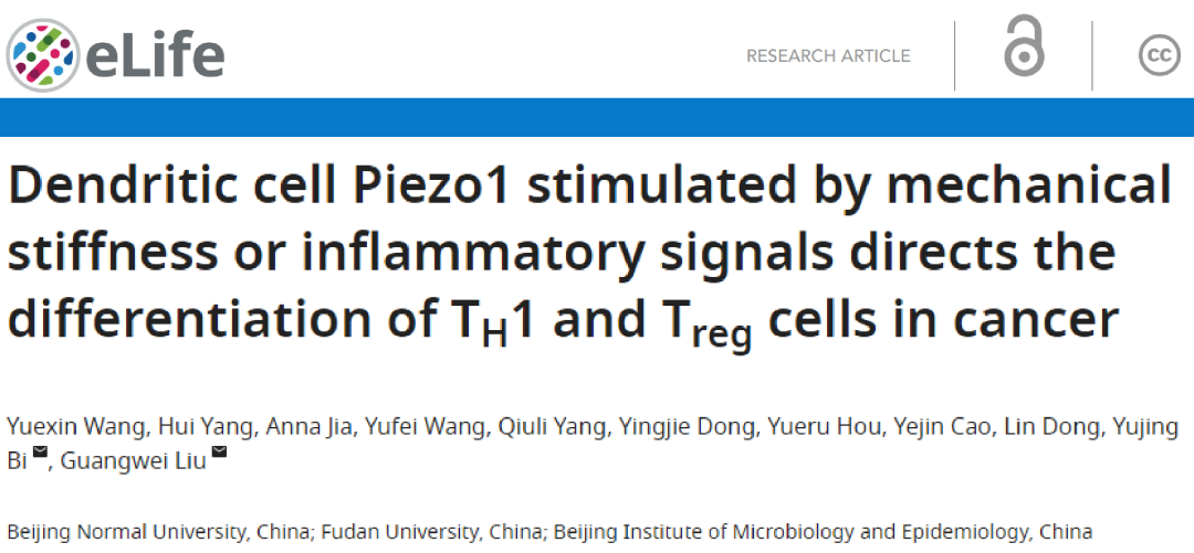 eLife︱刘光伟/毕玉晶团队发现机械力受体PIEZO1肿瘤免疫新机制：调控树突状细胞依赖性T细胞分化 - 知乎