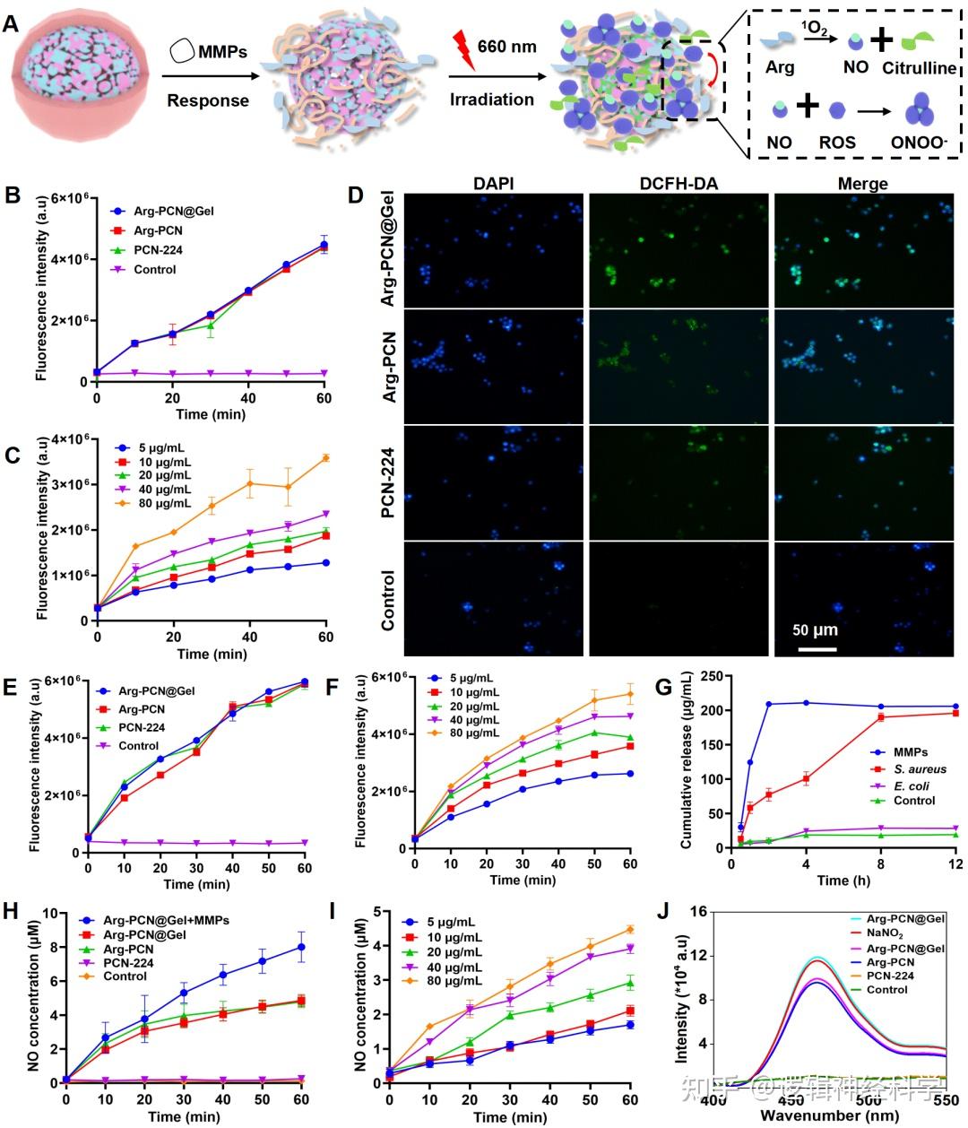 Sci Adv︱华中农业大学谢书宇/陈冬梅团队构建协同光动力和营养免疫的复合纳米系统在耐甲氧西林金黄色葡萄球菌生物被膜的高效精准治疗取得进展 - 知乎