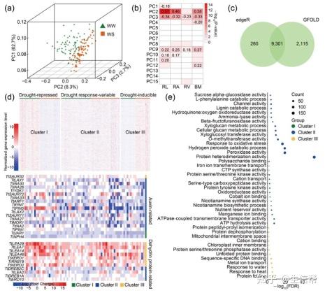 New Phytologist | 西北农林宋卫宁/聂小军课题组联合GWAS和eGWAS解析四倍体小麦抗旱性的遗传基础 - 知乎
