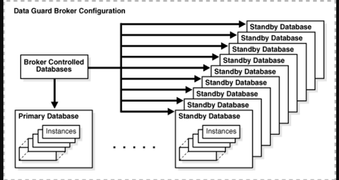 一步一步配置DataGuard Broker - 知乎