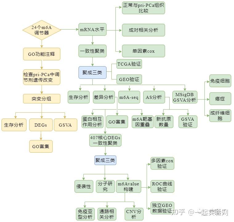 m6A整合生信分析可发NAR Cancer！ - 知乎