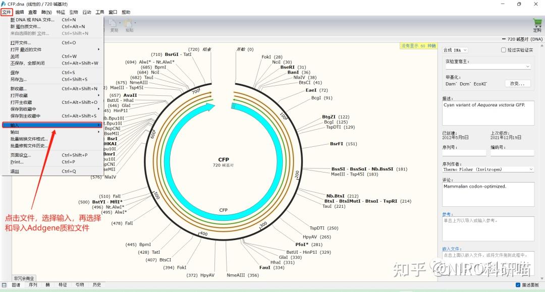 超详细的保姆级SnapGene软件应用汇总，建议收藏备用！！！ - 知乎