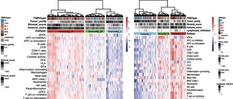 免疫浸润 | ssGSEA 简述与实践 - 知乎