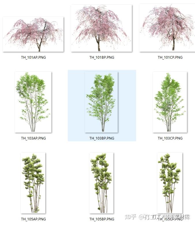 270款超棒的网红小清新手绘风and写实风立面树素材（1.2G） - 知乎