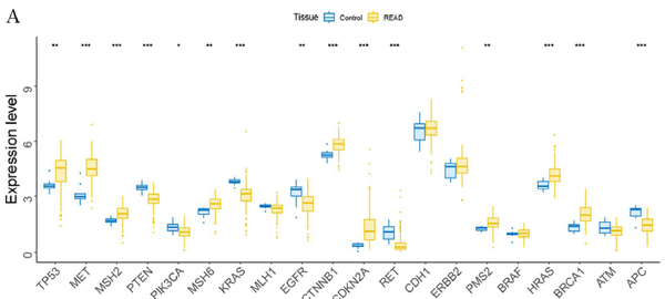 放疗抵抗方向，生物标志物筛选+GWAS等多组学分析+预后分析=8分+纯生信，性价比简直太高了！ - 知乎