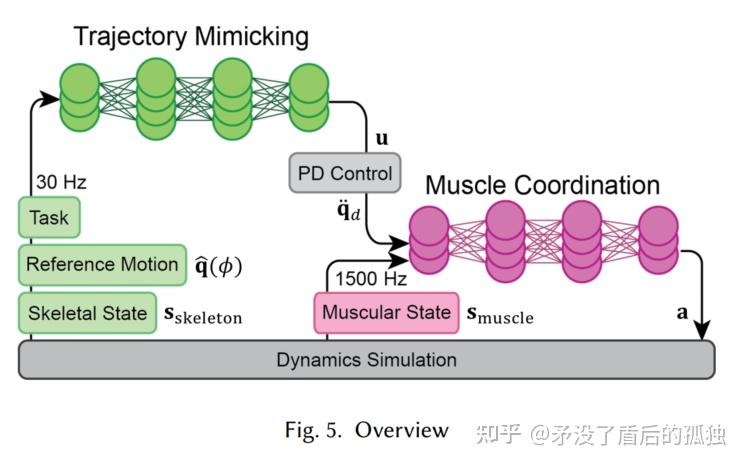 [paper reading] Scalable Muscle-Actuated Human Simulation and Control 可 ...
