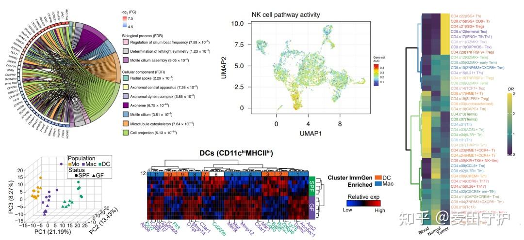系统的跟着18篇CNS文章学单细胞多组学分析（含空间转录组、chipseq、RNAseq、Atacseq和外显子） - 知乎