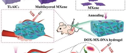 《Small》:用于NIR触发局部光热-化疗协同癌症治疗的热响应 MXene-DNA 水凝胶 - 知乎