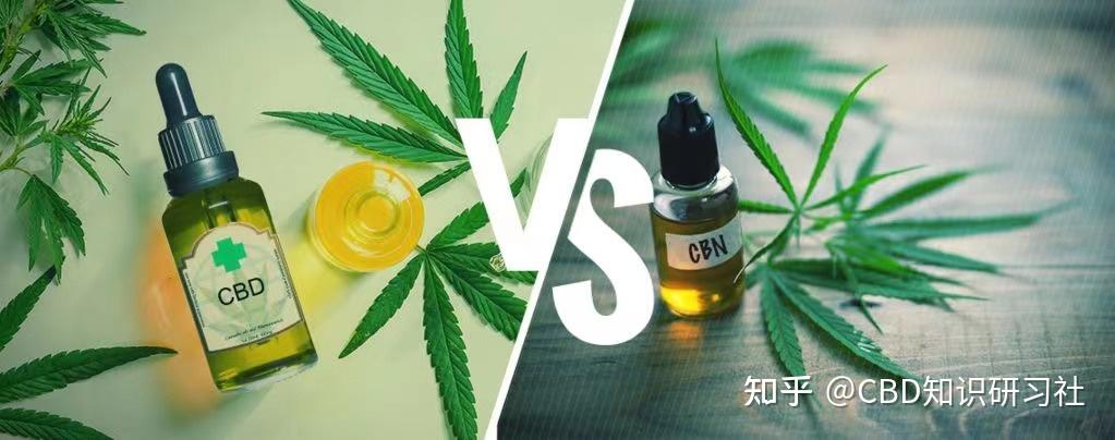 了解了CBD，再来认识一下CBN - 知乎