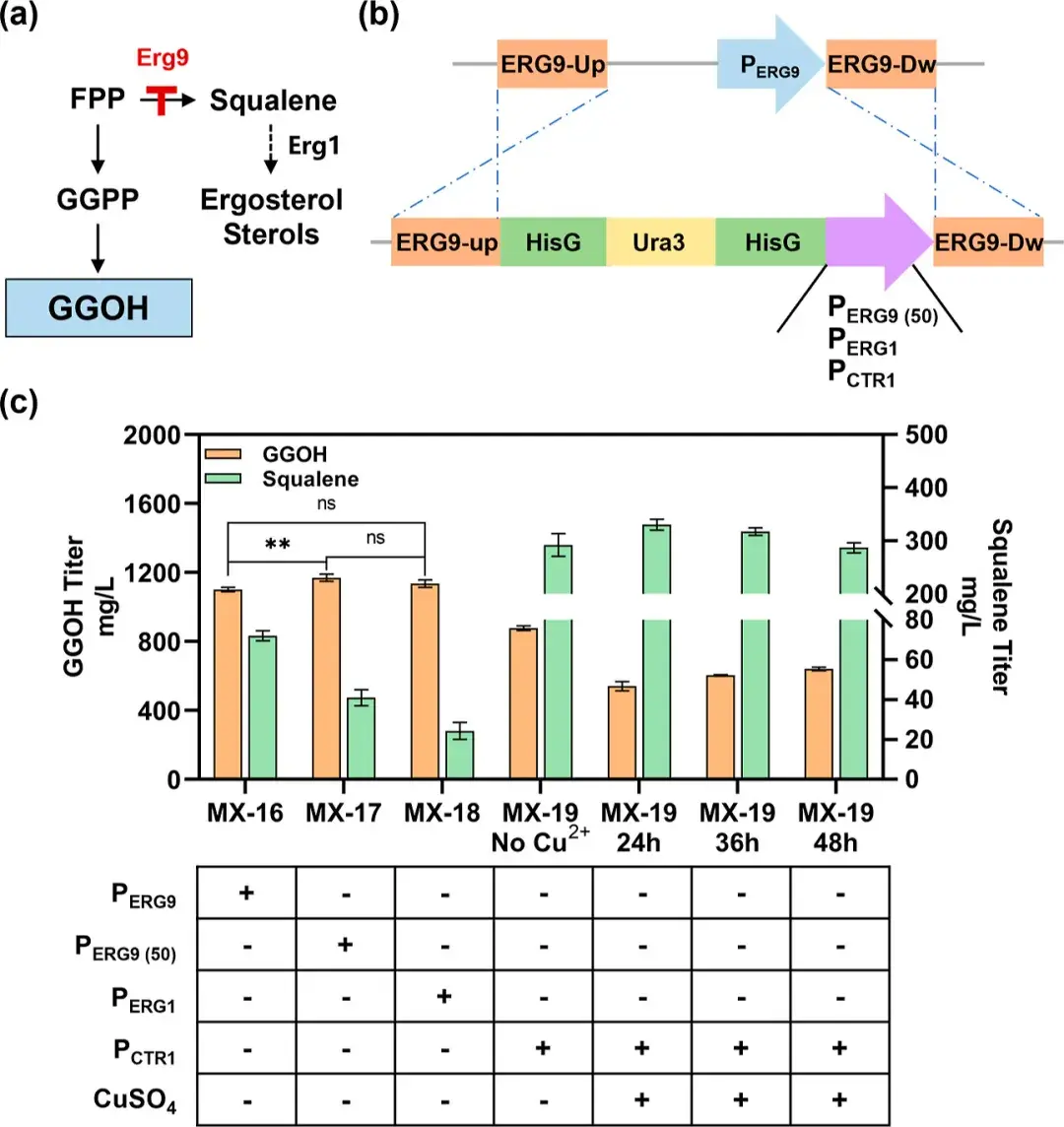 欣贝莱生物 | J. Agr. Food Chem.：工程化解脂耶氏酵母高效合成香叶基香叶醇 - 知乎