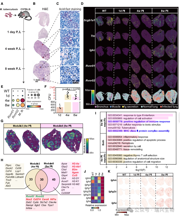 Cell | Stereo-seq实现宿主-微生物时空解析，破解FFPE难题 - 知乎