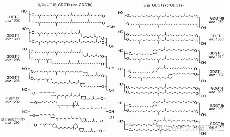 神奇分子在哪里（GDGTs）：微生物是怎么让我们了解气候变化的 - 知乎