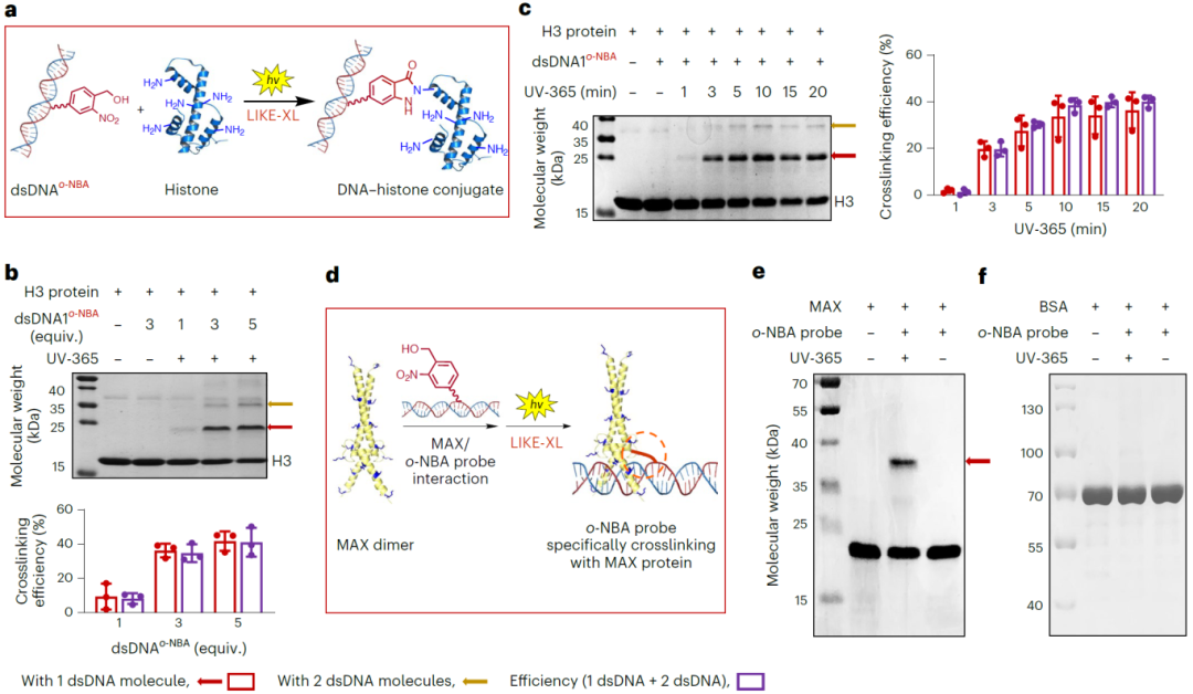 速来围观！研究转录因子-启动子互作的“新技术” - 知乎