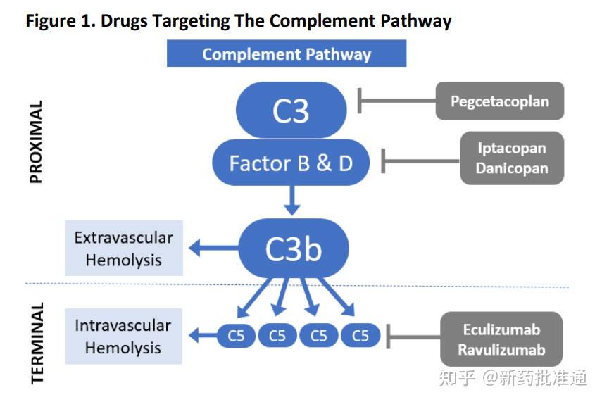 【FDA新药】阵发性睡眠性血红蛋白尿症新药danicopan美国获批上市 - 知乎