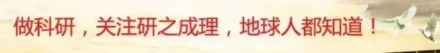 学术名人堂之Peter Strasser - 知乎