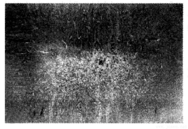 钢材的中心疏松(center porosity) - 知乎