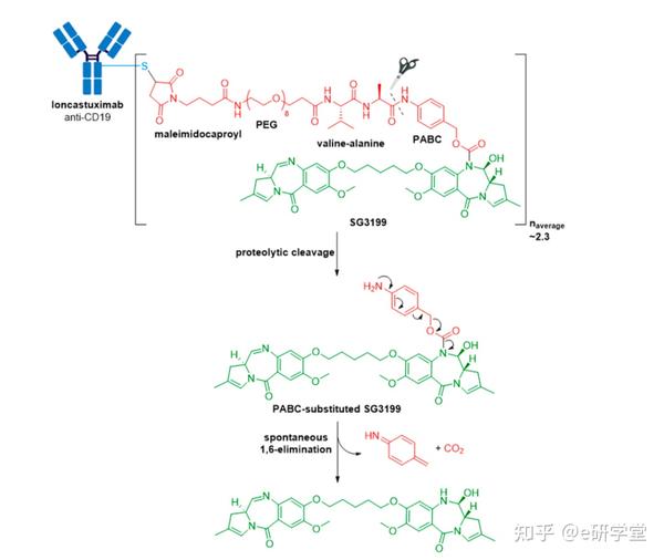 深度盘点FDA批准用于癌症治疗的抗体偶联药物（ADC） - 知乎