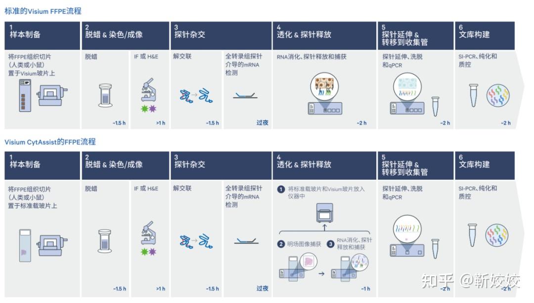 再也不用担心FFPE样本的空间多组学实验了，So easy ! - 知乎