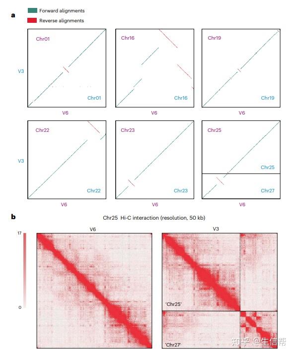 NP-模式植物小立碗藓T2T基因组发布(详细解读) - 知乎