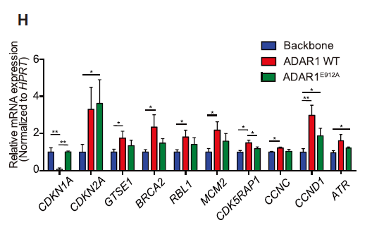 PCR array近两年文献合集 - 知乎
