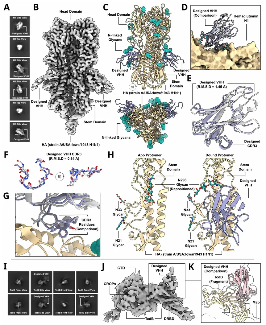 原子级精确，David Baker团队开发RFdiffusion变体对抗体进行从头设计 - 知乎