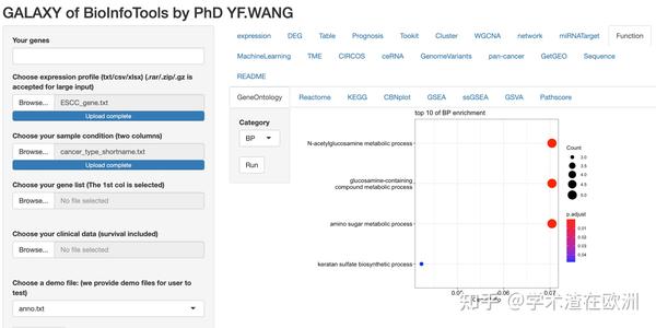 Biowinford全网最全的生信零代码网页工具—功能富集分析（升级） - 知乎