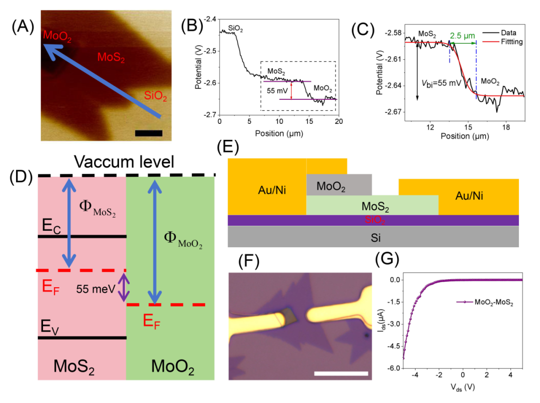 燕山大学薛天宇教授&翟昆教授&程迎春教授Carbon Energy：异质结界面电荷非对称分布促进电催化析氢性能提升 - 知乎