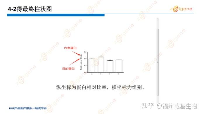 WB数据分析｜手把手教学｜western blot - 知乎