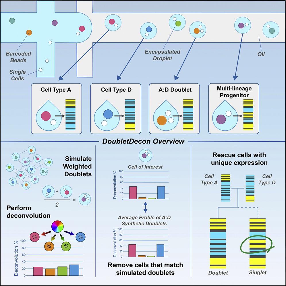 【生信工具】DoubletDecon : 从scRNA测序数据中解卷积Doublets - 知乎