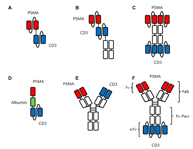 智慧芽PharmSnap | 带你全面了解靶点PSMA - 知乎