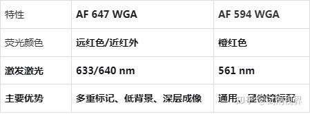 AF 647 WGA，利用WGA对细胞膜的特异性结合来显示细胞轮廓 - 知乎