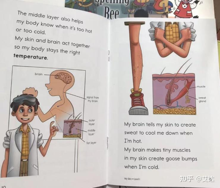 2023年最新RAZ各版本解析（图文版细节丰富），附详细对比表格 - 知乎