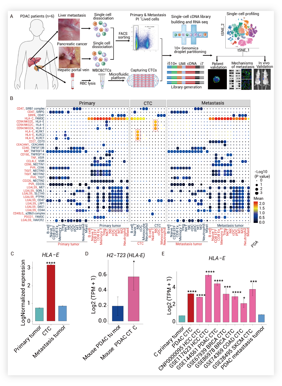 HLA-E: 免疫检查点 "新星"| MedChemExpress - 知乎