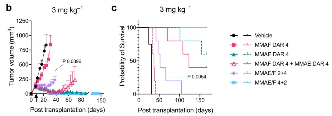 加速迭代，精准控制DAR的双弹头ADC药物 - 知乎