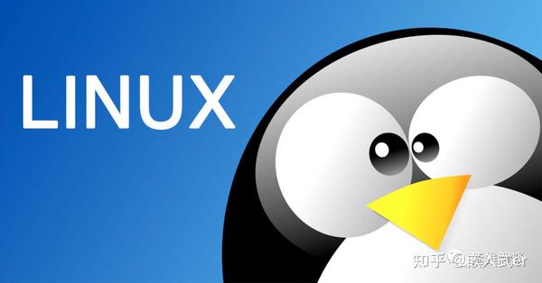 在linux中如何一次性运行多个命令? 知乎