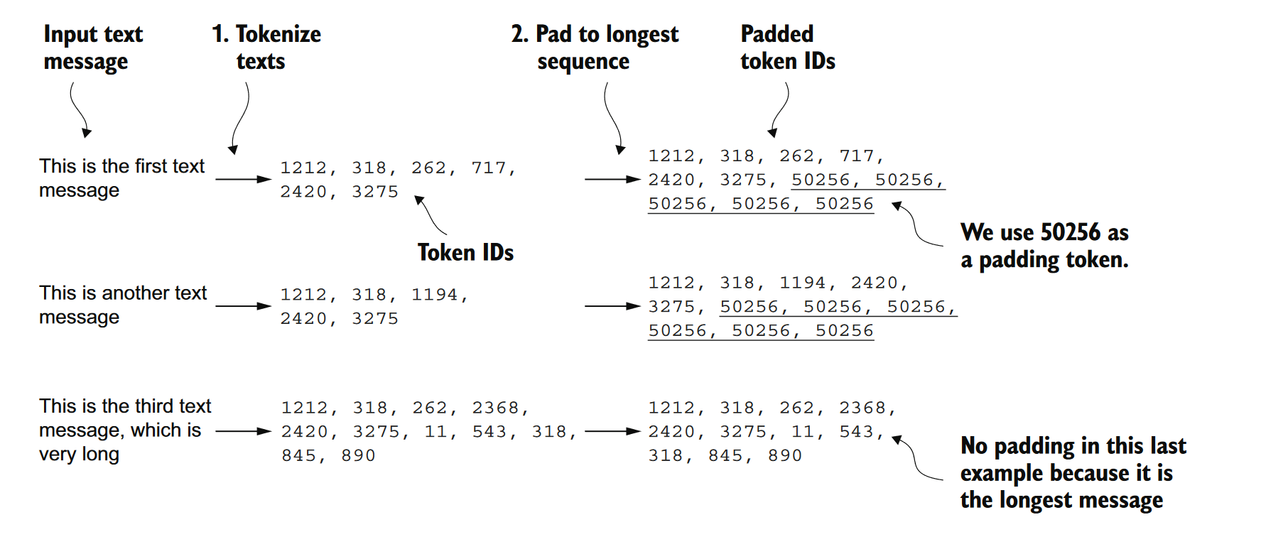 第六章 分类微调 Fine-tuning for classification - 知乎