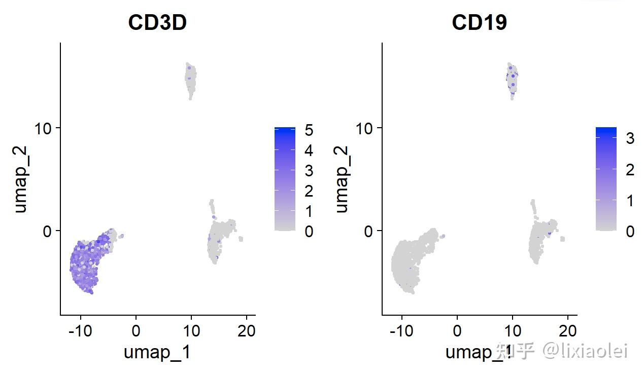 Seurat FeaturePlot 终极美化教程：从基础到高级，绘制高颜值基因表达图谱 - 知乎