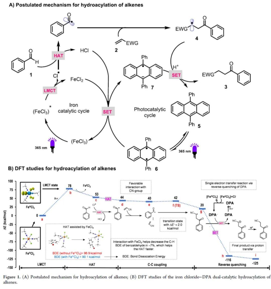双重光催化策略实现烯烃与醛的氢酰化反应-Oliver Reiser课题组 - 知乎