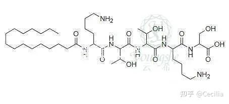 十肽-4 /Decapeptide-4作为一种信使肽，促进多种胶原蛋白合成 - 知乎