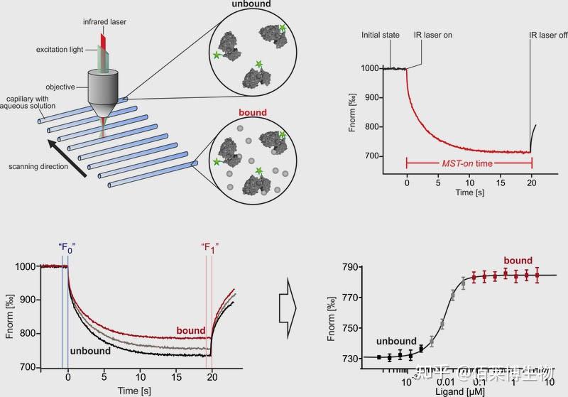 MST微量热泳动分子相互作用分析技术 - 知乎
