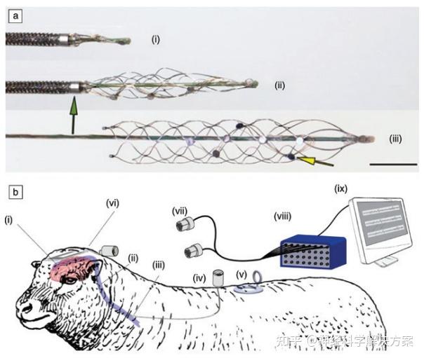 Cambridge NeuroTech硅电极神经接口的最新进展——材料化学到临床转化 - 知乎